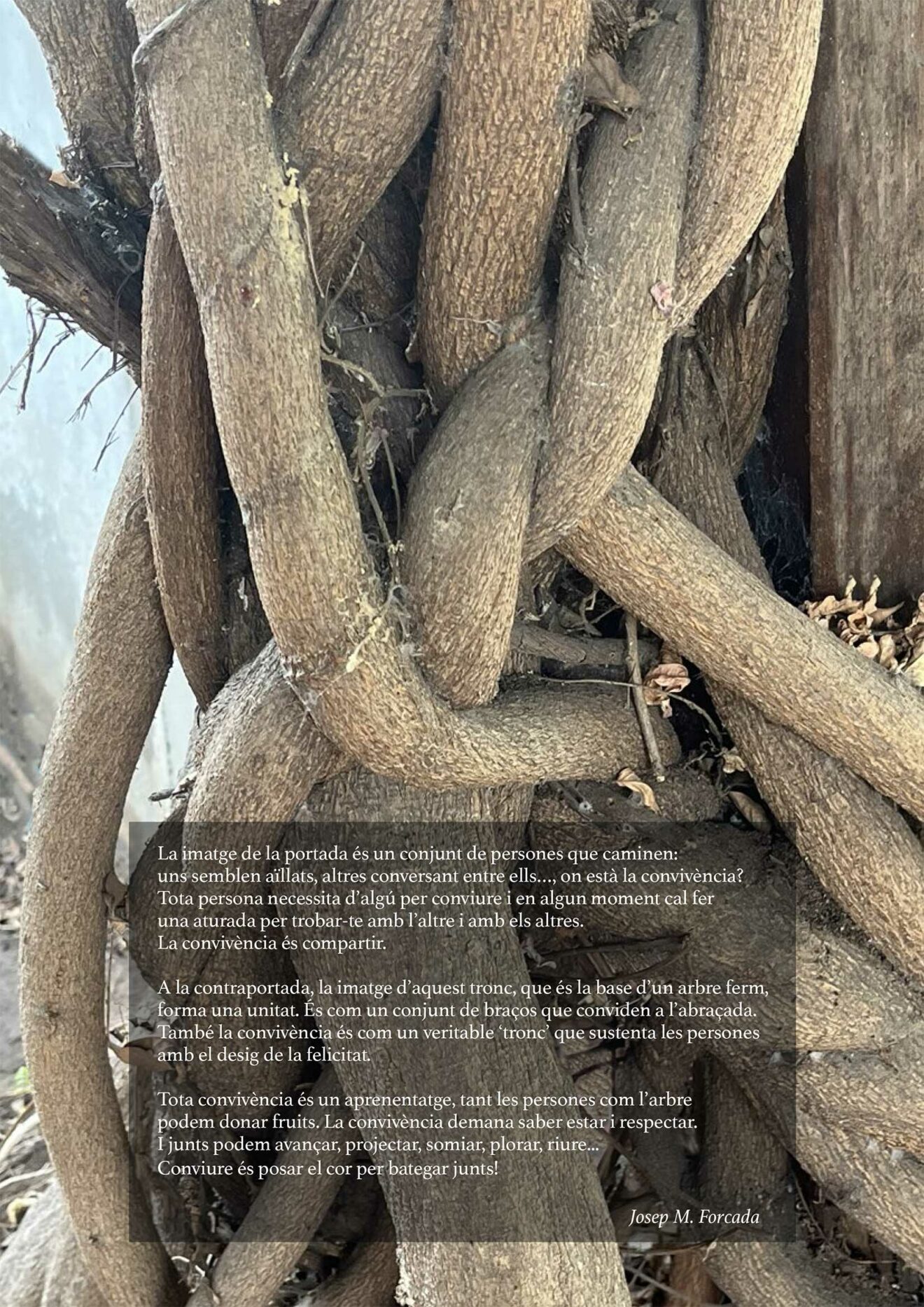 La contra - Àmbit d'Investigació i Difusió Maria Corral