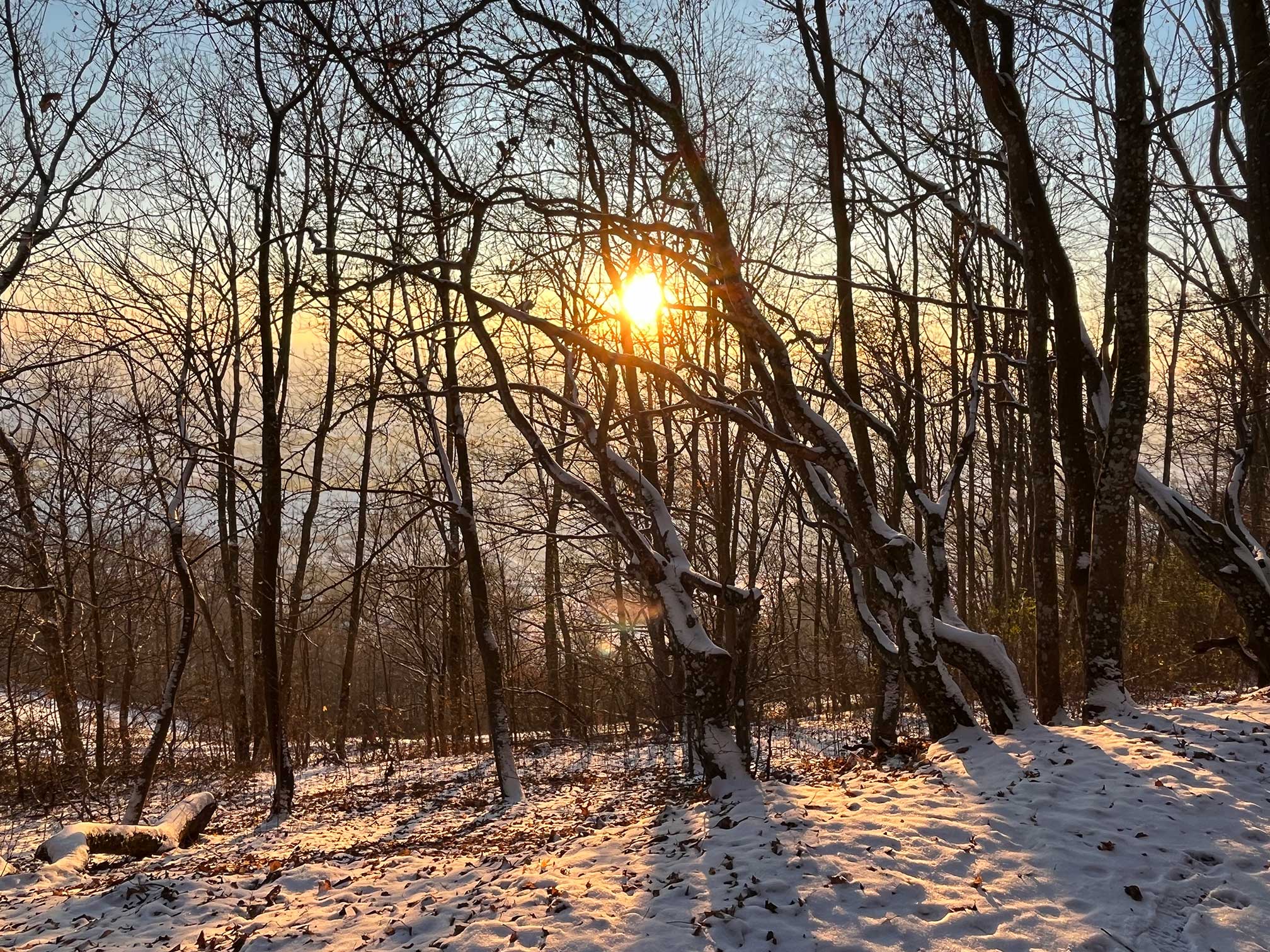 Viure sense creure en res - Àmbit d'Investigació i Difusió Maria Corral